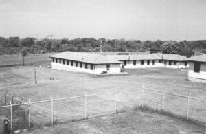 Camp X · The Intrepid Society